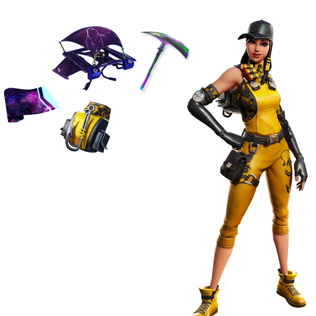 Fortnite Rapper's Locker Bundle Skin (bundle)