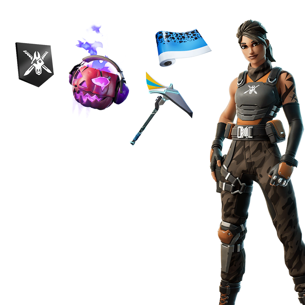 Fortnite Ashtvn's Locker Bundle Skin (bundle)