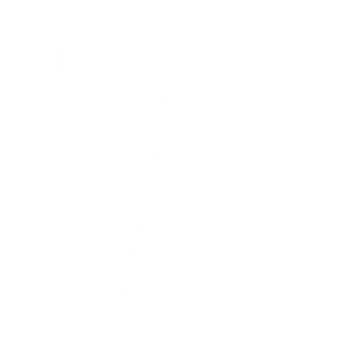 Fortnite Dark Side Skin (emote)