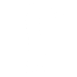 Fortnite Ninja Style Skin (emote)
