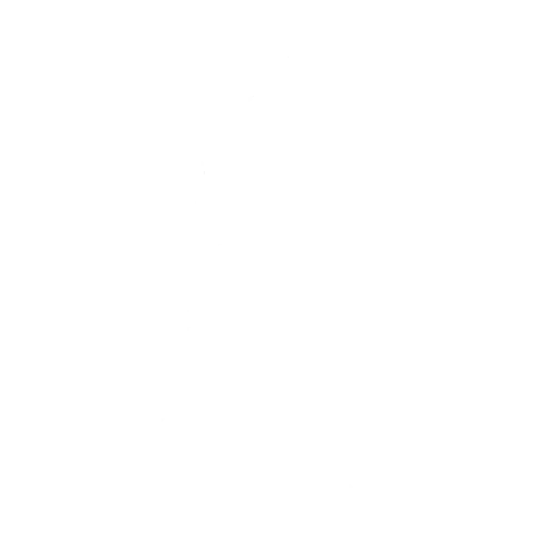 Fortnite Punching Practice Skin (emote)