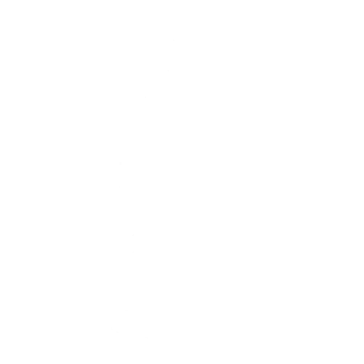Fortnite Chani Skin (outfit)