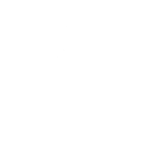 Fortnite Side Shuffle Skin (emote)