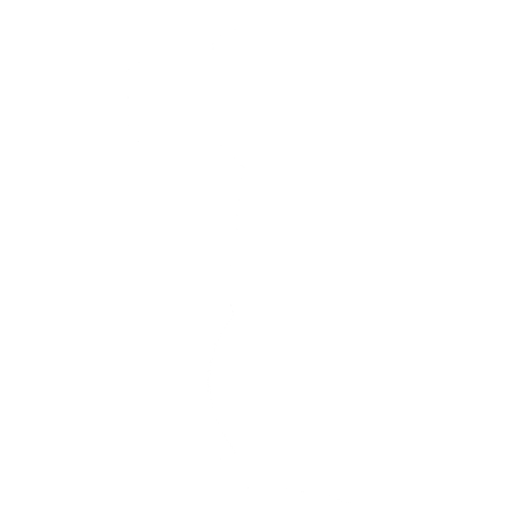 Fortnite Slalom Style Skin (emote)
