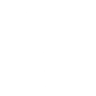 Fortnite The Flow Skin (emote)